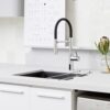 Blanco 402447 Catris Flexo Semi-Pro Pull-Down Dual-Spray Kitchen Faucet ...